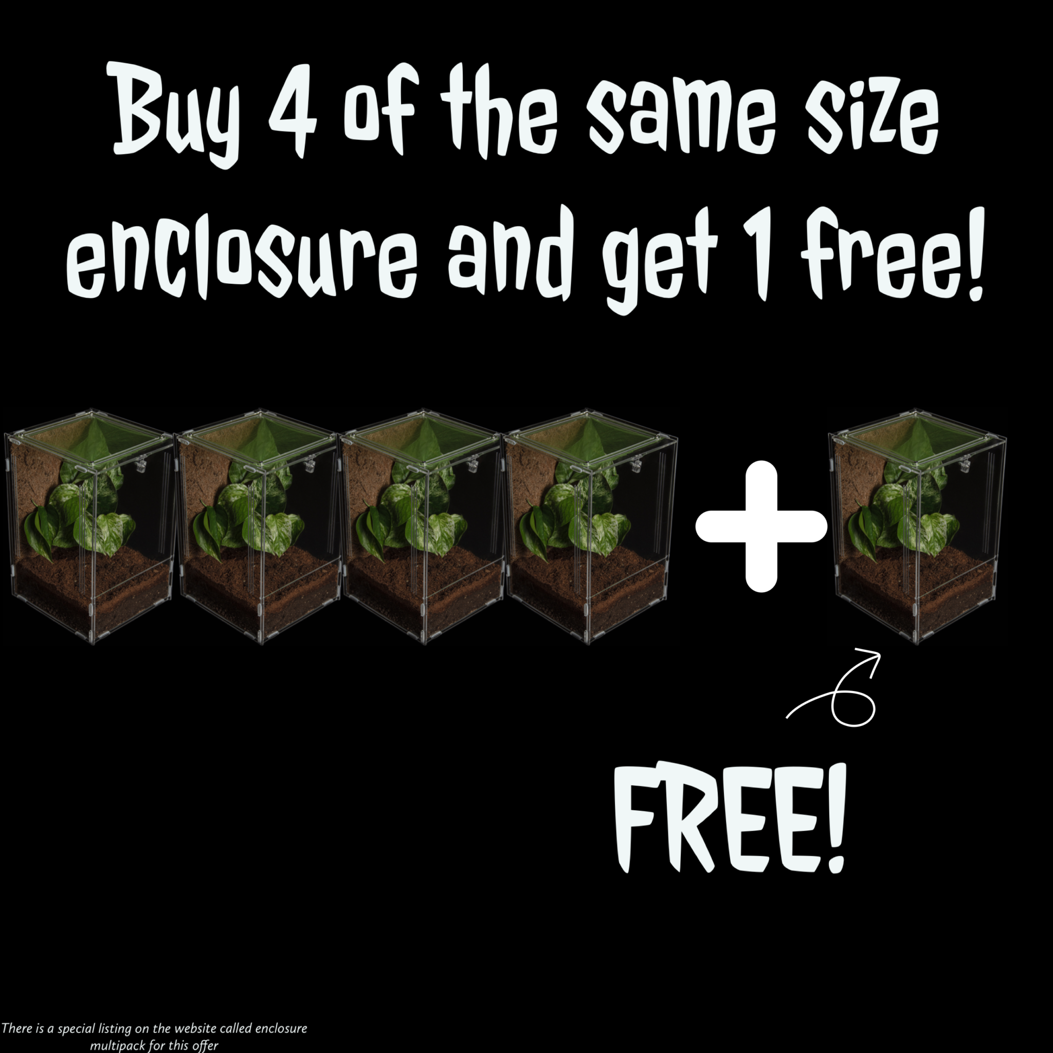 Mantis Den - Praying Mantis & Acrylic Enclosures For Sale